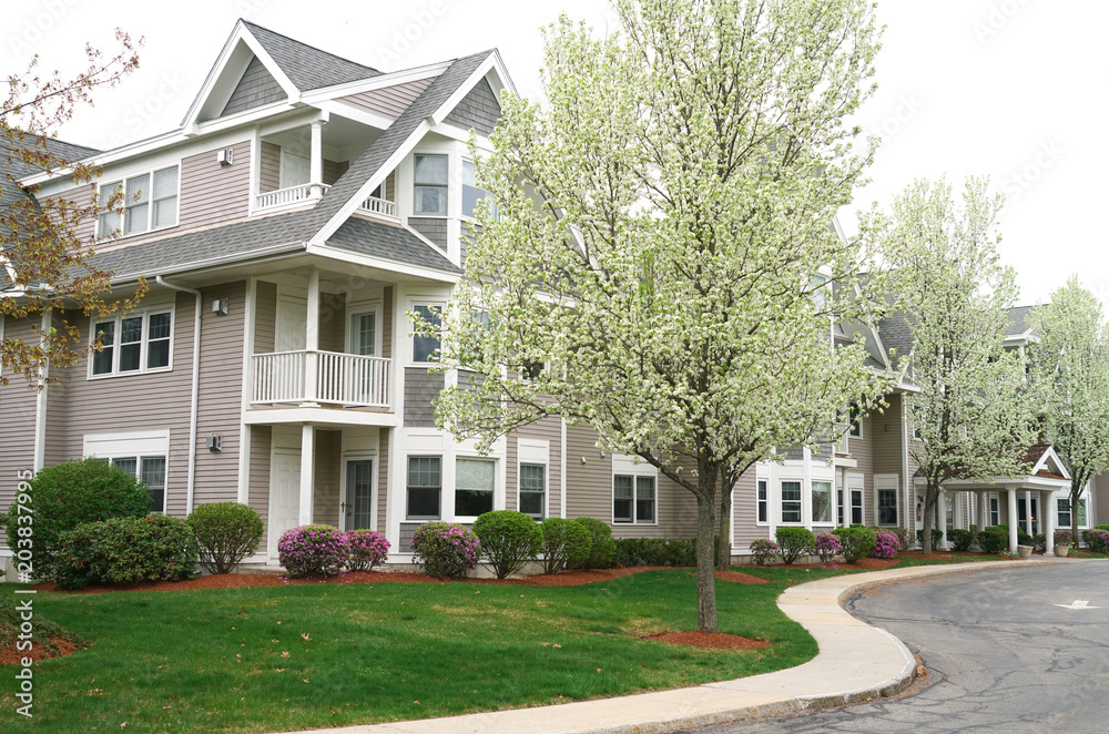 apartment building with spring trees and flower blooming Stock Photo ...
