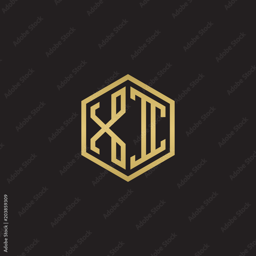 Initial letter XI, minimalist line art hexagon shape logo, gold color ...