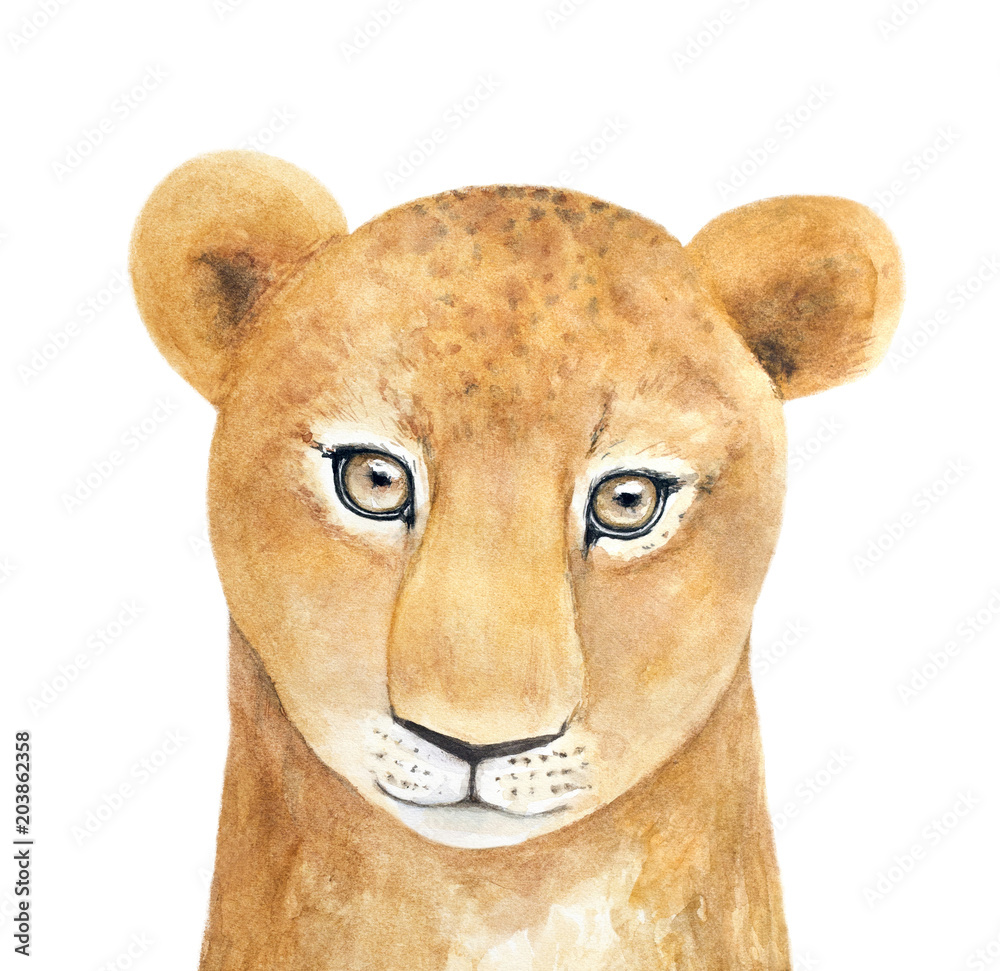 Watercolor portrait of young African Lioness character. Beautiful ...
