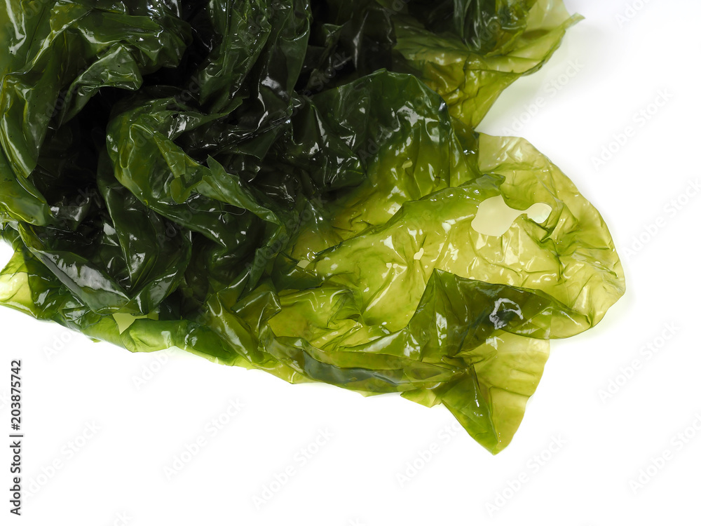 Sea lettuce – Lechuga de Mar Edible green algae in the family Ulvacceae ...
