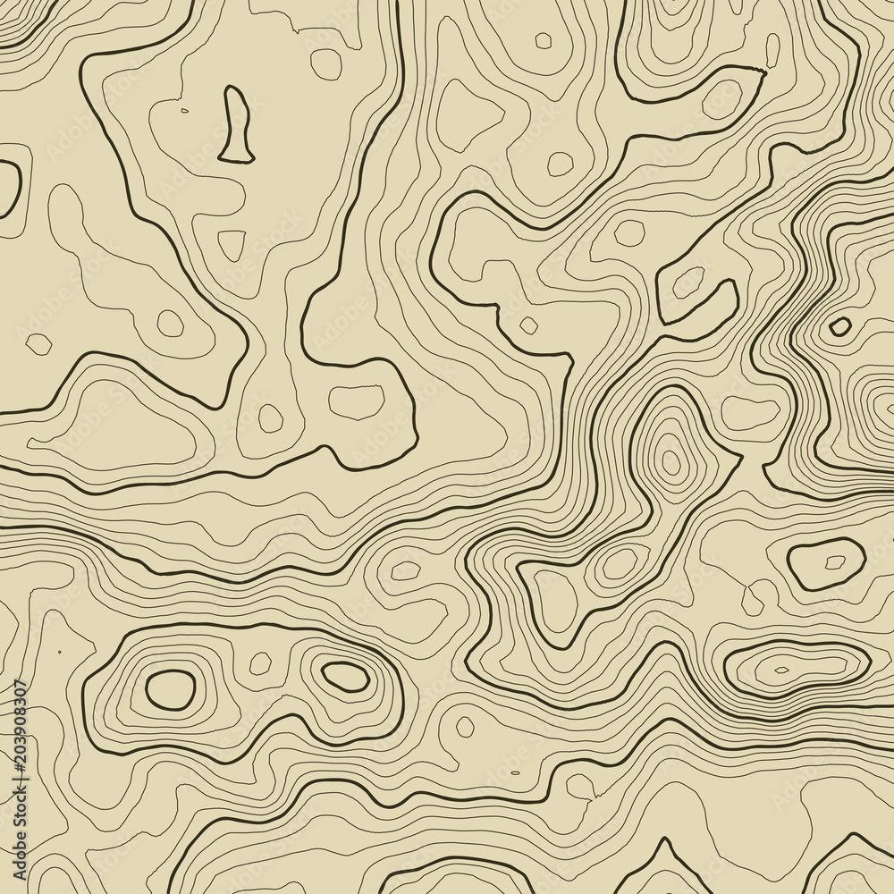 Topographic map background concept with space for your copy. Topography ...