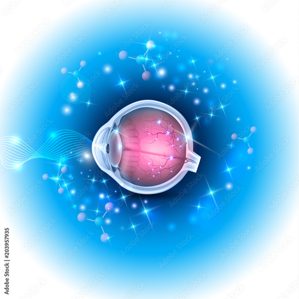 Human eye anatomy on a beautiful abstract glowing background Stock ...