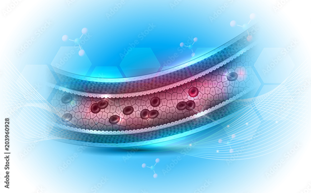 Healthy artery anatomy cross section an a beautiful light blue abstract ...