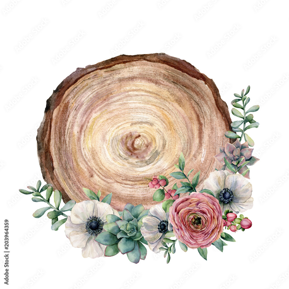Cross Section Of A Rose
