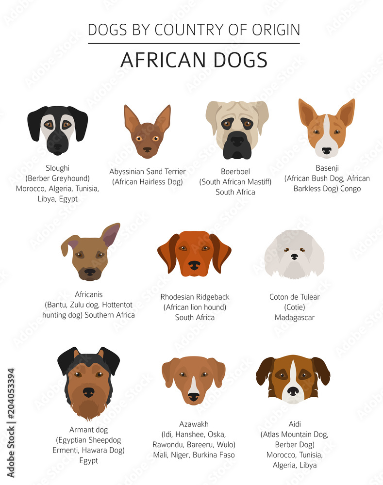 Dogs by country of origin. African dog breeds. Infographic template ...