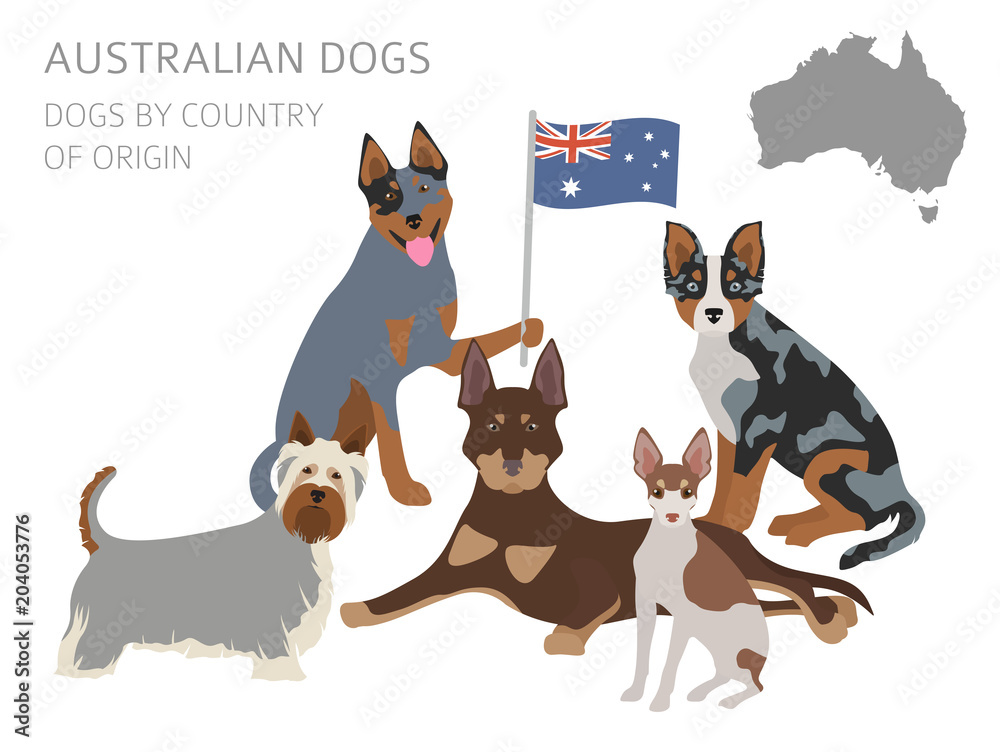 Dogs by country of origin. Australian dog breeds, New Zealand dogs ...