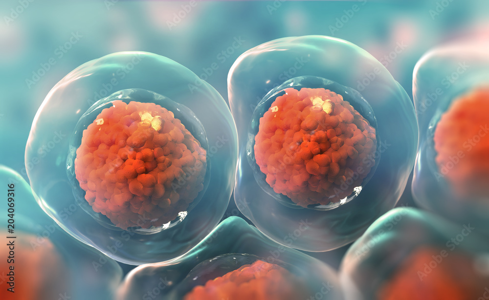 Cells under a microscope. Research of stem cells. Cellular Therapy ...