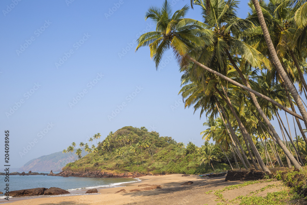 India, Goa, Cola beach Stock Photo | Adobe Stock