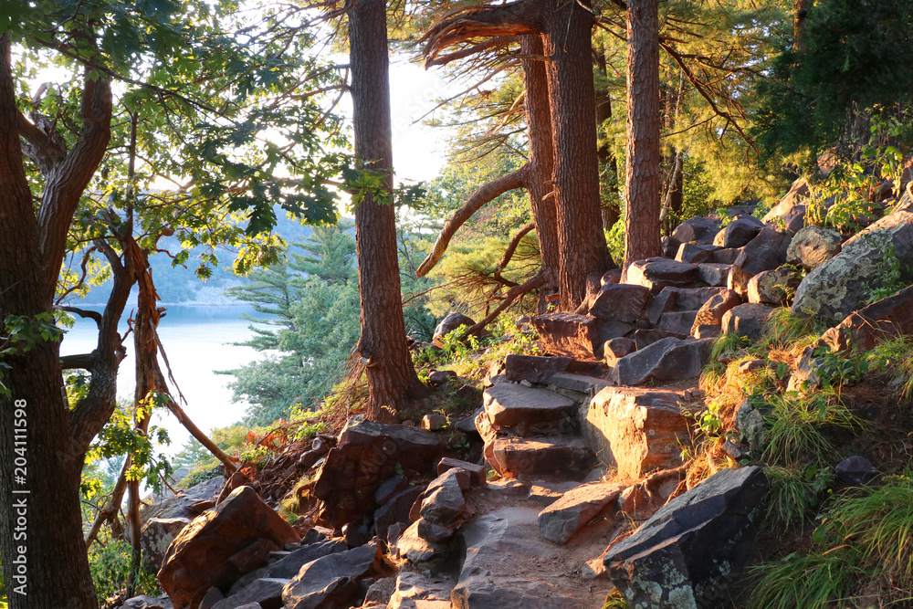 Beautiful Staircase In Nature