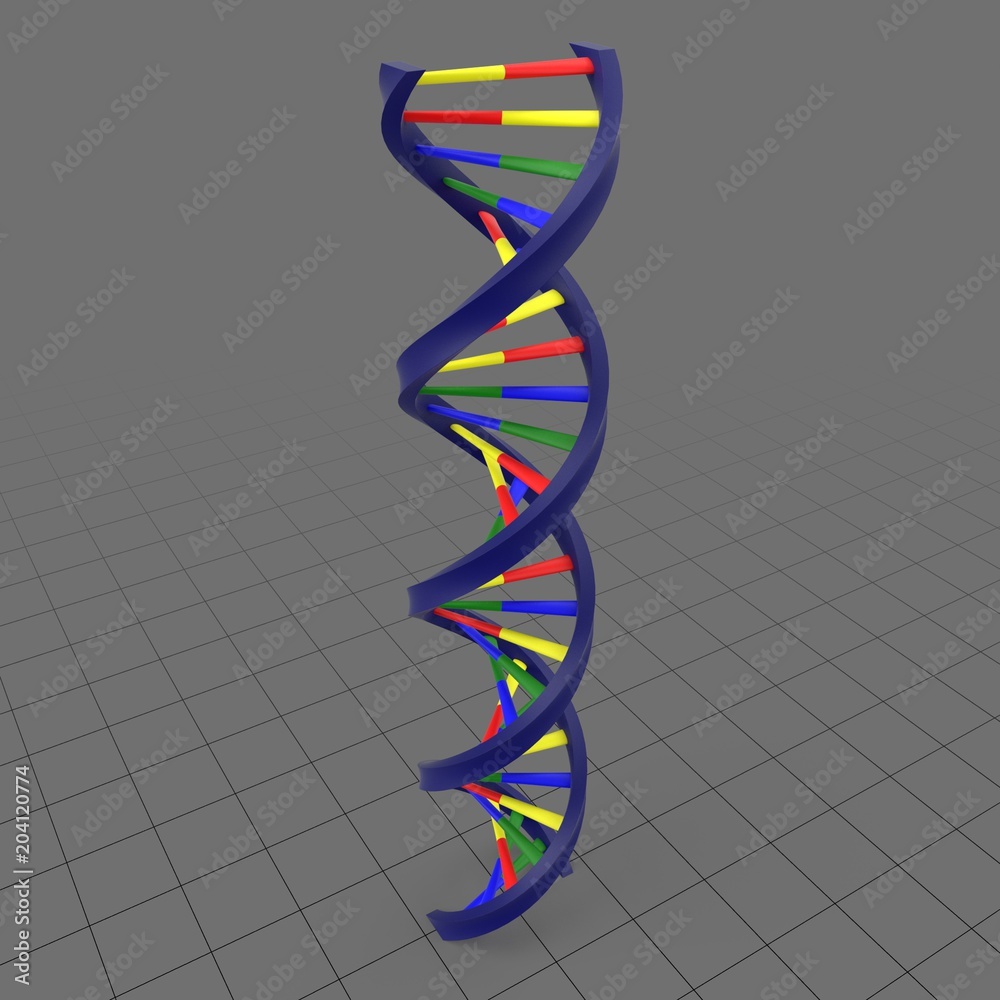 3d Dna Strand Model