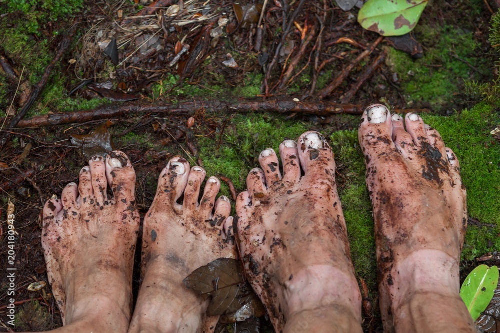 Dirty feet on moss in jungle. Walking in the tropical rain forest ...