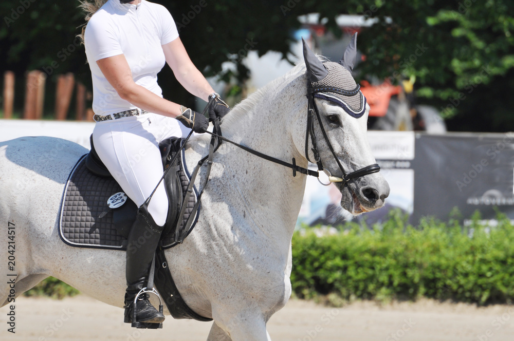 Sportpferd mit Reiterin auf dem Reitturnierplatz, Pferd mit Reiter im ...