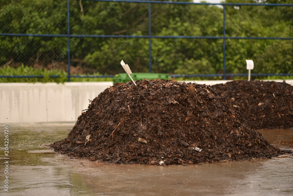 Poster Piles of compost in an open air composting facility – Wall Art ...