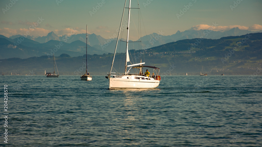 Segelbote auf dem Bodensee mit Blick auf die Alpen- Stock Photo | Adobe ...