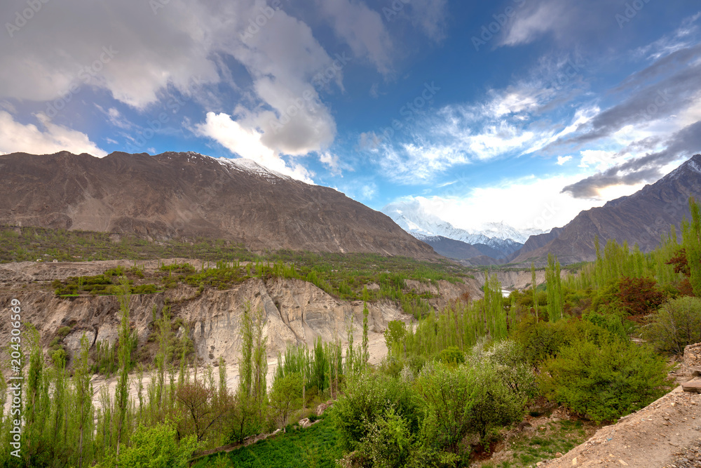 Dry Hunza river bank with Poplar trees , Hunza Valley, Stock Photo ...