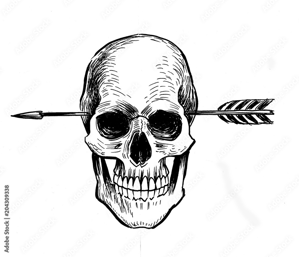 Human skull pierced with an arrow. Ink black and white drawing Stock ...