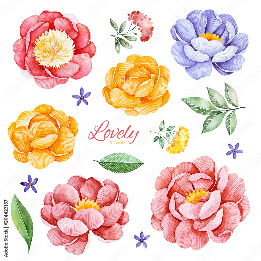 Handpainted romantic set with watercolor peonies, flowers, roses and ...