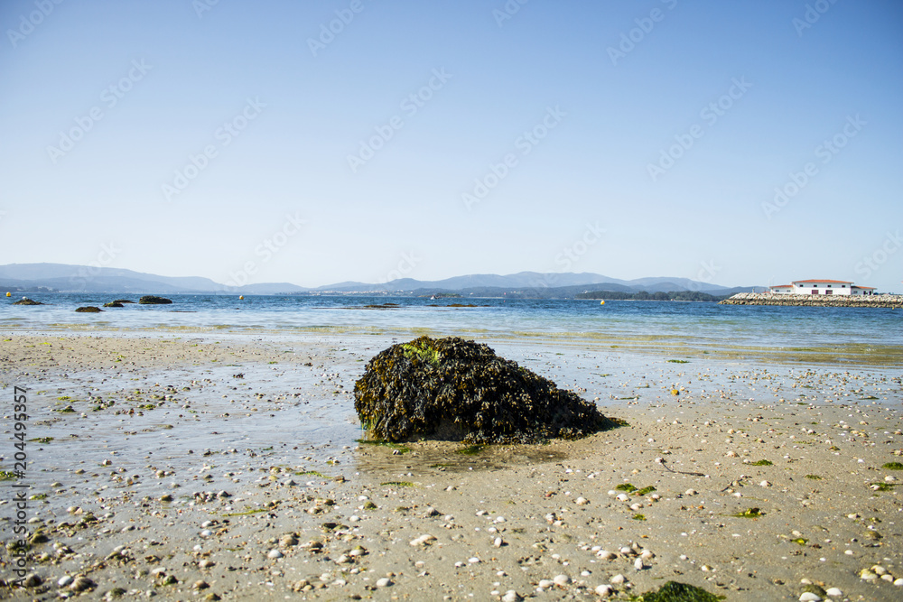 Roca en la orilla de una playa con el mar de fondo Stock Photo | Adobe ...
