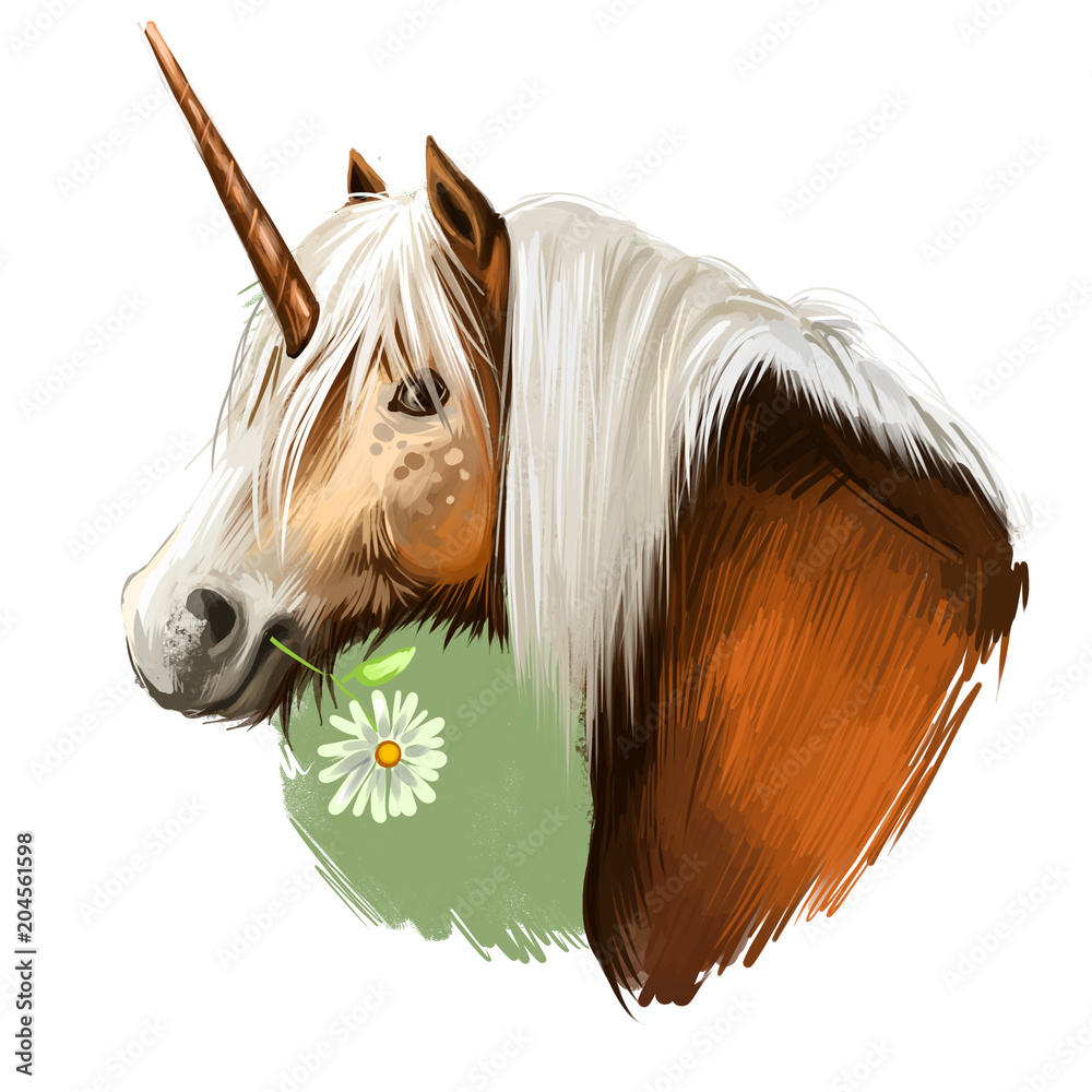 Unicorn digital art illustration isolated on white background ...