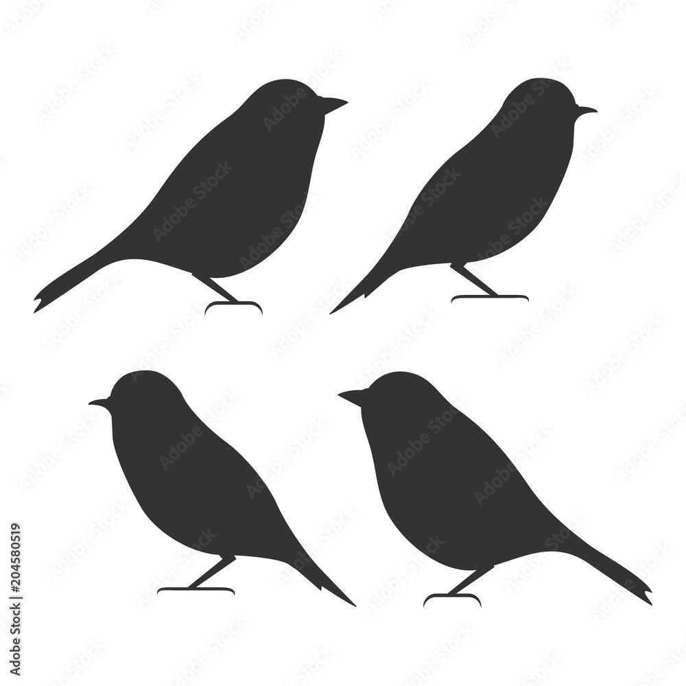Bird icon set, black isolated on white background, vector illustration ...