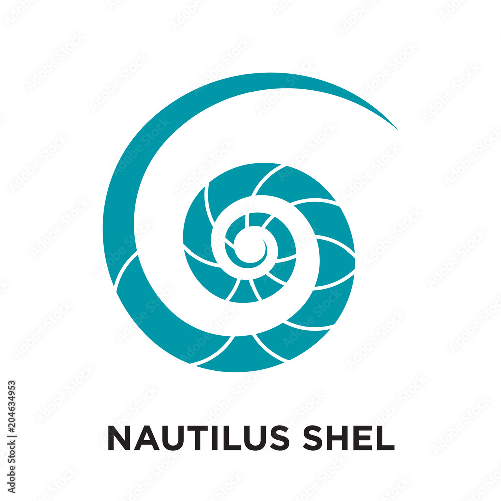 nautilus shell logo isolated on white background , colorful vector icon ...