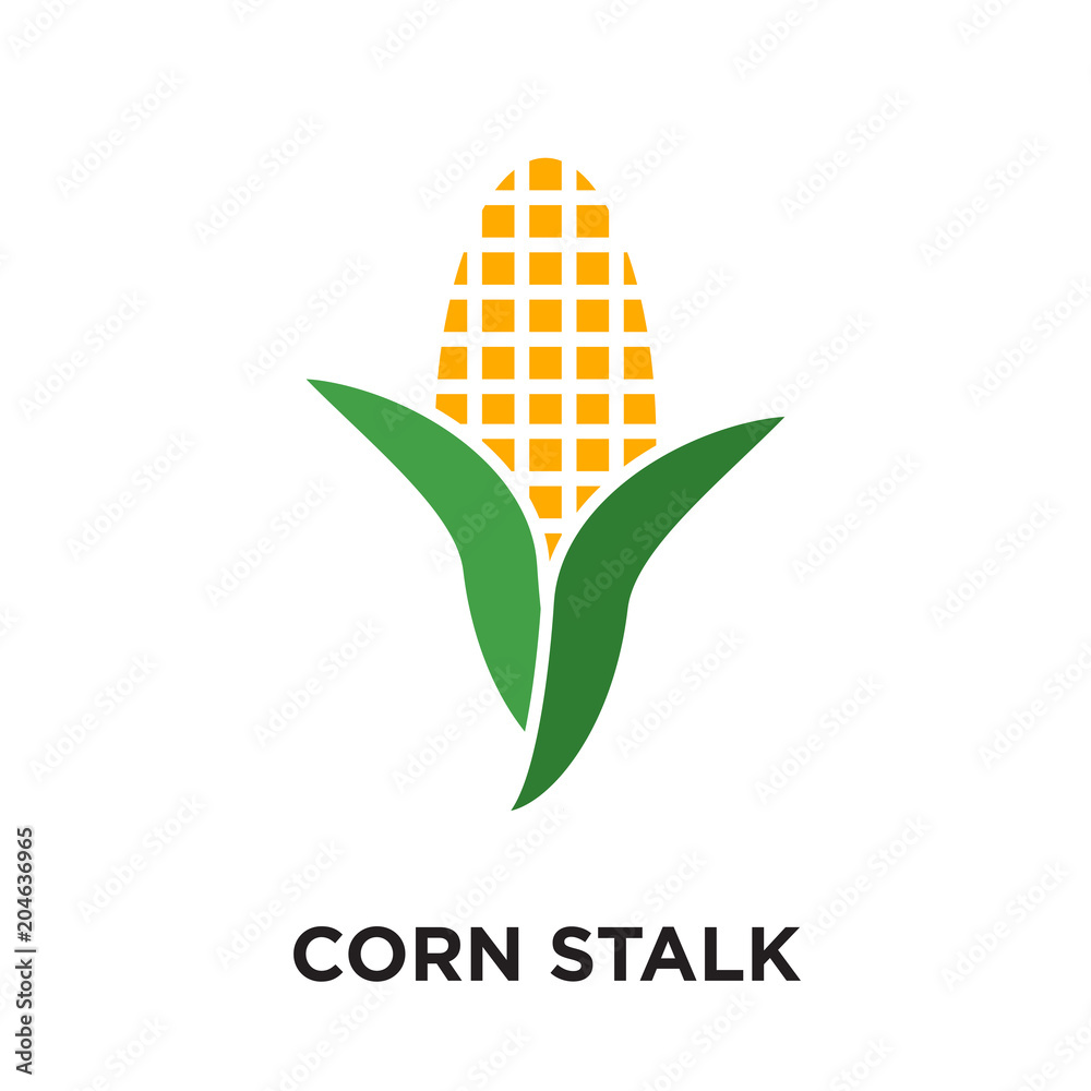 Corn Stalk
