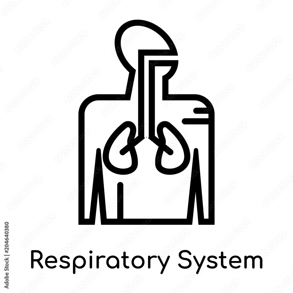 Respiratory System icon isolated on white background , black outline ...