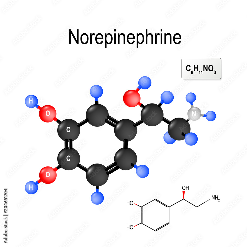 Norepinephrine Molecule