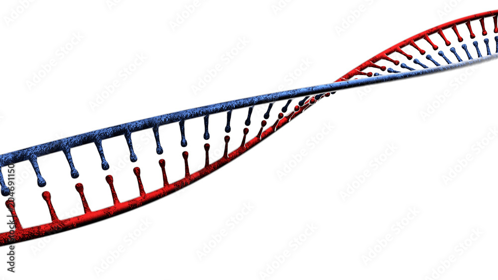 Dna, elica di Dna, acido desossiribonucleico è un acido nucleico che ...