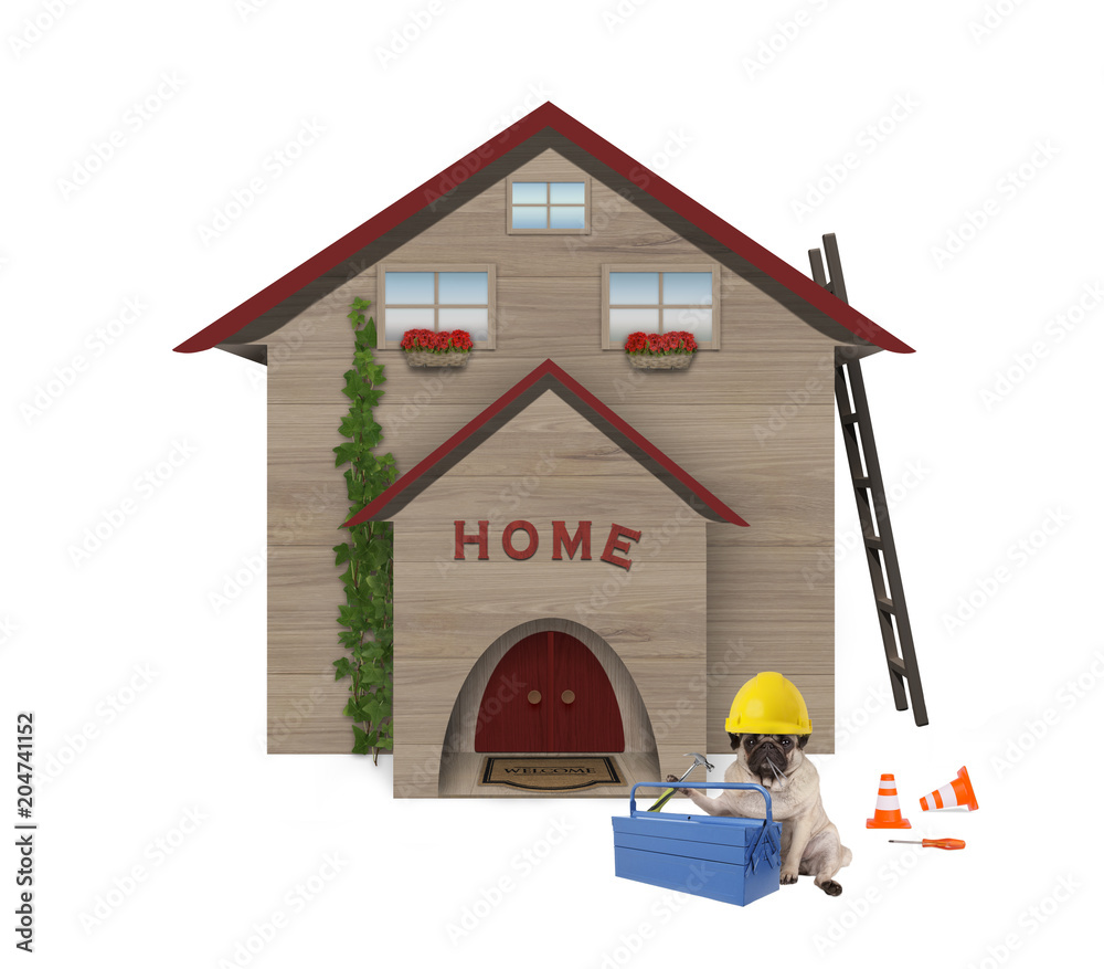 carpenter pug dog with yellow safety helmet doing home renovations ...