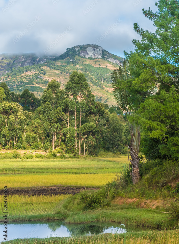 Rice terraces and Merina villages along the National Route 7 South of ...