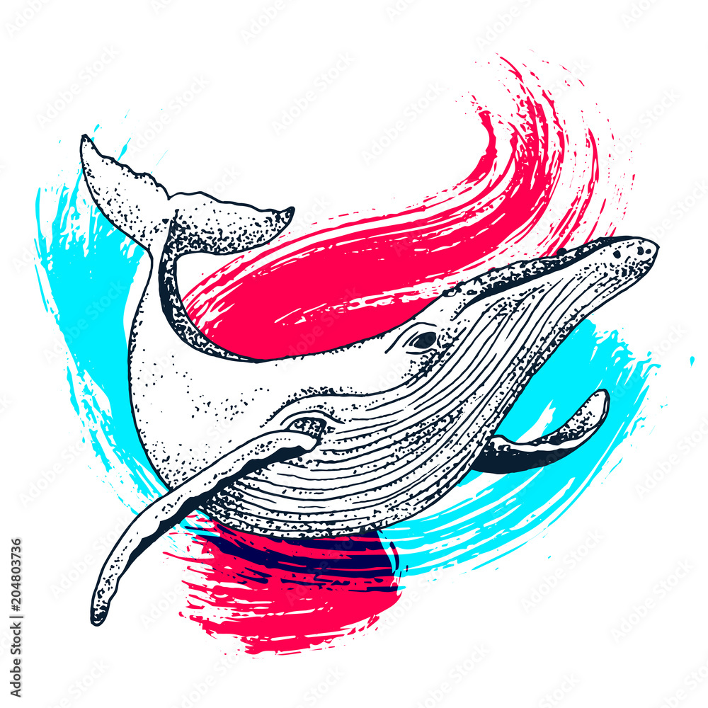 Vector blue whale illustration with paint splash, ink sketch with big ...
