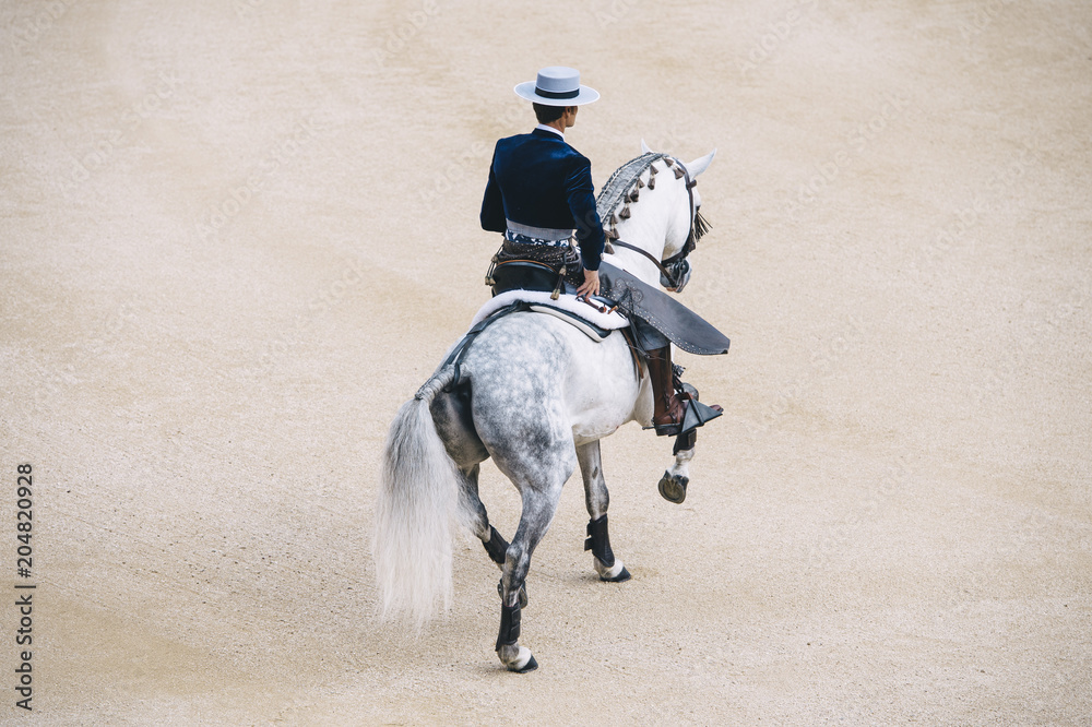 Corrida. Matador and horse Fighting in a typical Spanish Bullfight ...