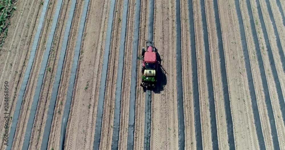 High aerial descending view of tractor in large plastic mulch field ...