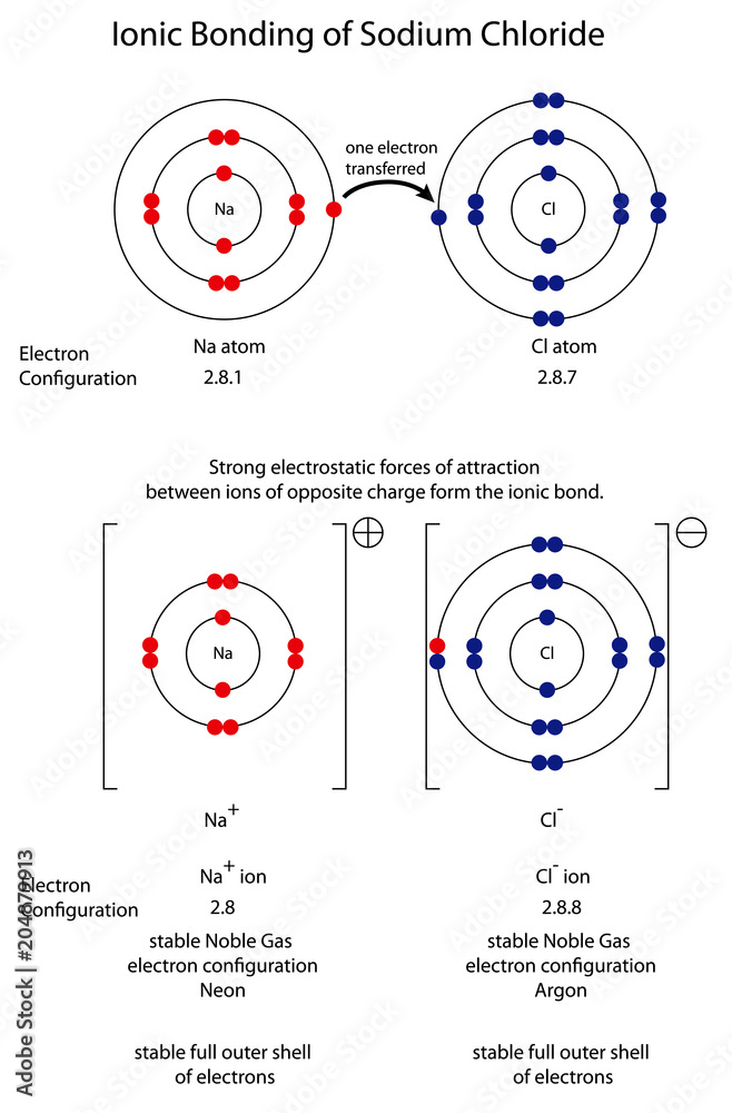 Diagram To Show Ionic Bonding In Sodium Chloride Stock Vector Adobe Stock Diagram To Show Ionic Bonding In Sodium Chloride Stock Vector Adobe Stock