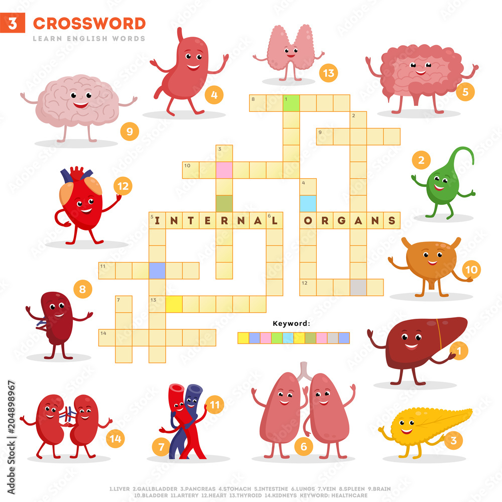 Crossword with huge set of illustrations and keyword in vector flat ...