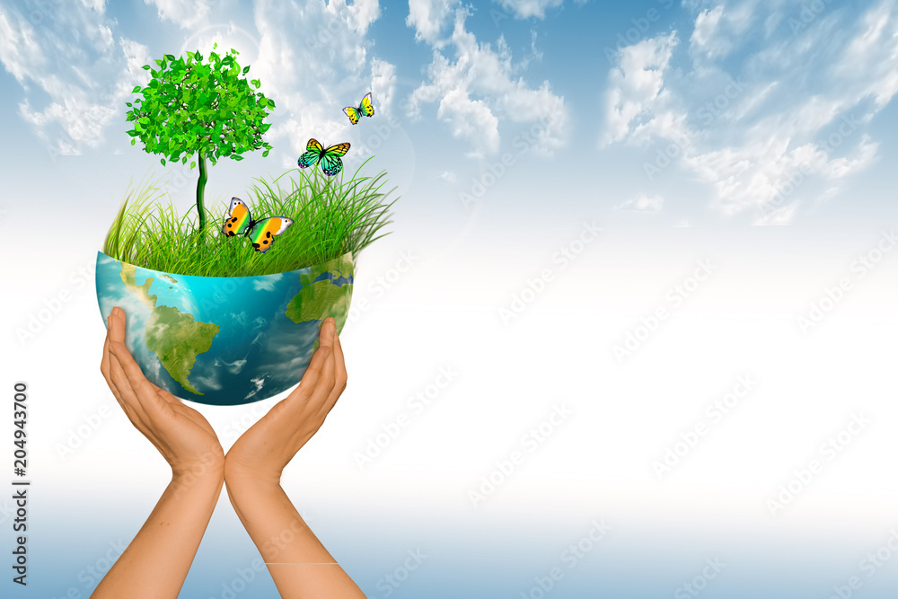 Ecological concept of the environment with the cultivation of trees on ...