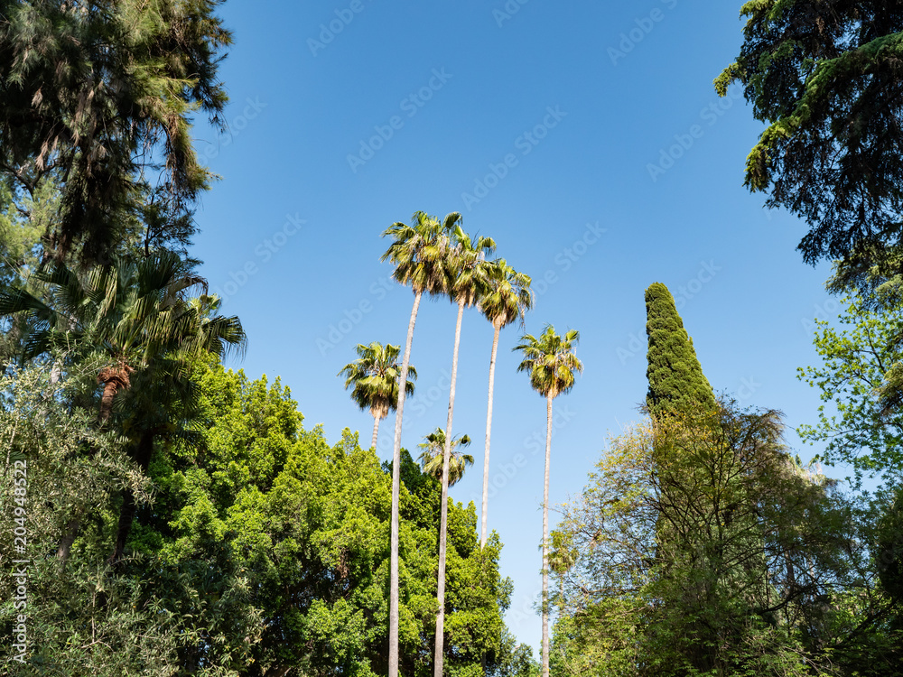 Poster Palace of Alcazar, Famous Andalusian Architecture – Tableau ...