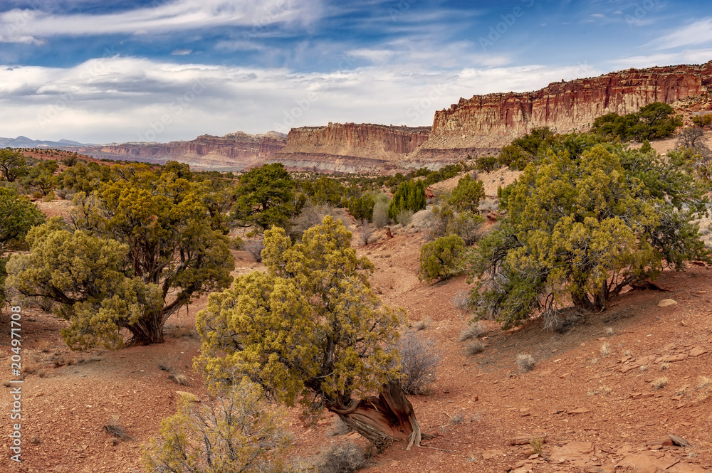 Capitol Reef National Park, Utah. Capitol Reef is a 100-mile pinch in ...