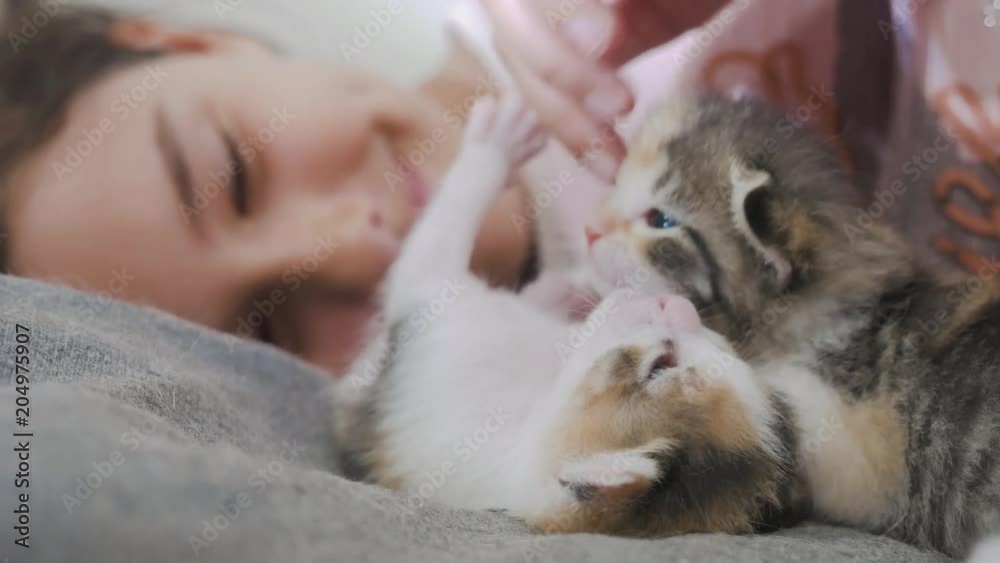 girl and two cute kittens concept - happy little girl with cat in bed at home. schoolgirl baby ...