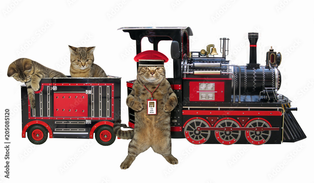 The cat railwayman is next to the toy train. White background. Stock ...