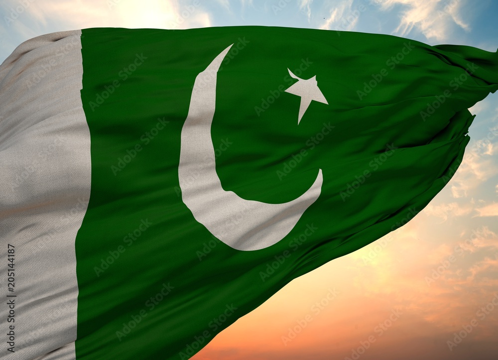 Pakistan Flag, Waving flag Stock Illustration | Adobe Stock