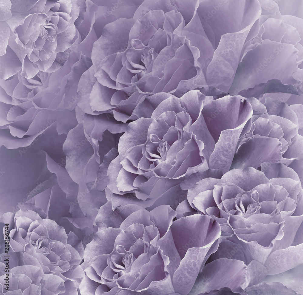 Vintage Purple Flower Background