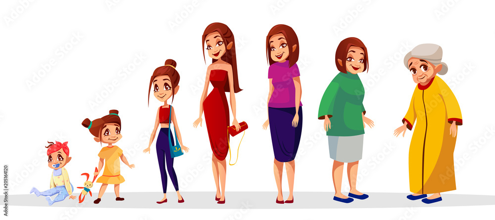 Woman age vector illustration of female generation cycle. Women life ...