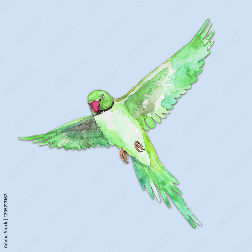 Indian Parrot Painting