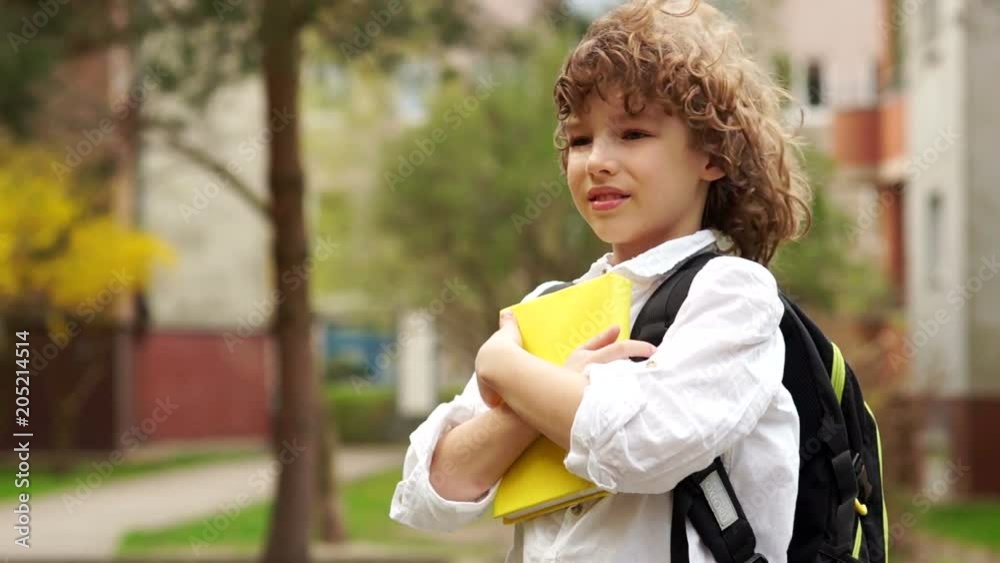 Portrait of a schoolboy with a book in his hands. The boy looks ...