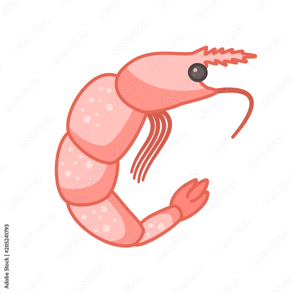 Flat cartoon colorful shrimp icon. Cute isolated pink prawn symbol for ...