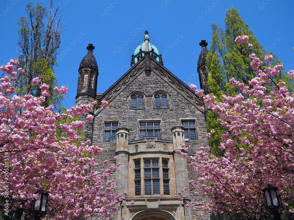 Gothic style college campus with flowering crabapple trees Stock Photo ...