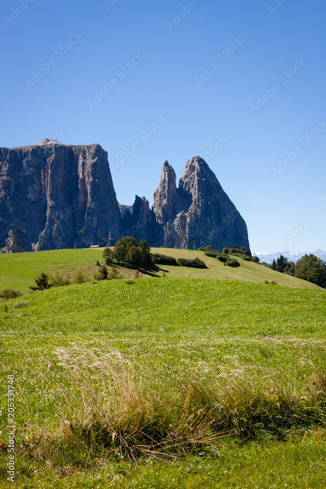 Alpine landscape with fields of green grass, houses and with dolomite ...