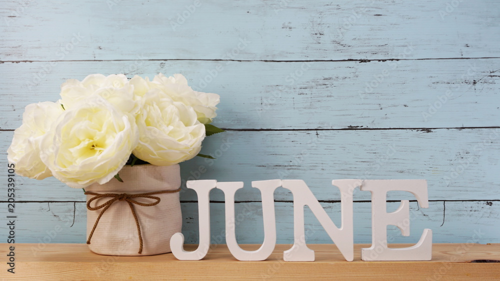 june alphabet letter with space background Stock Photo | Adobe Stock